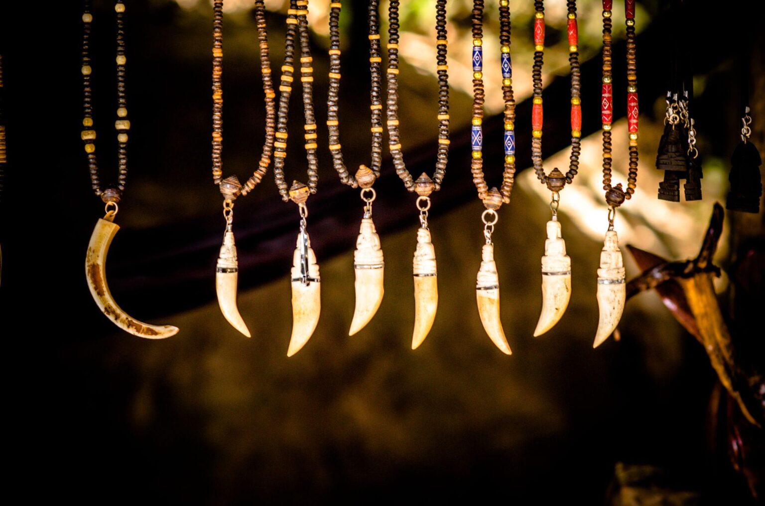 How Do Indigenous Tribes Use Animal Teeth? - Jungle Roots Children's ...